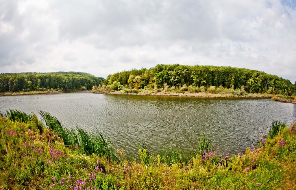 Община Аврен