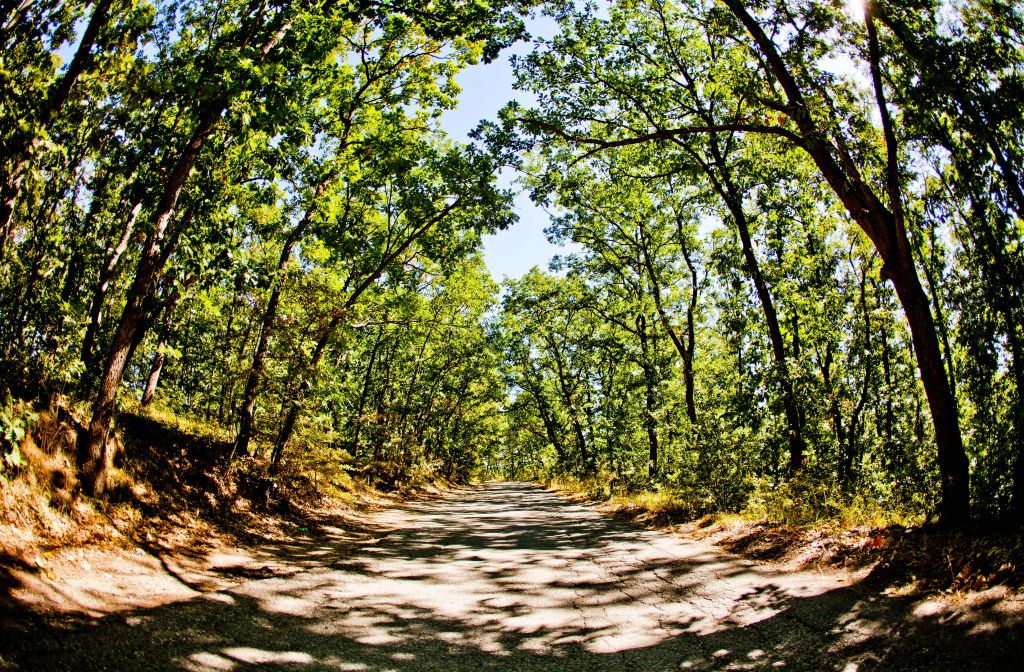 Община Аврен